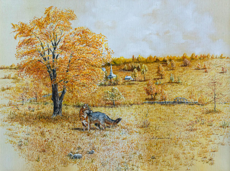 Fox in the Meadows - Phil Prentice Art