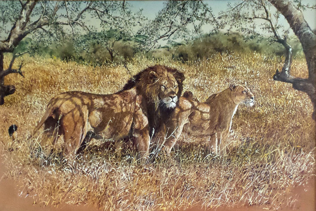 The Pride - Phil Prentice Art